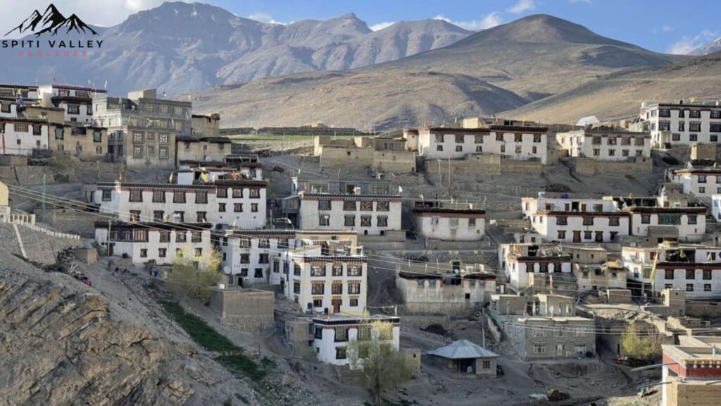 Top 7 Pit Stops on the Spiti Circuit That Are Worth Every Detour