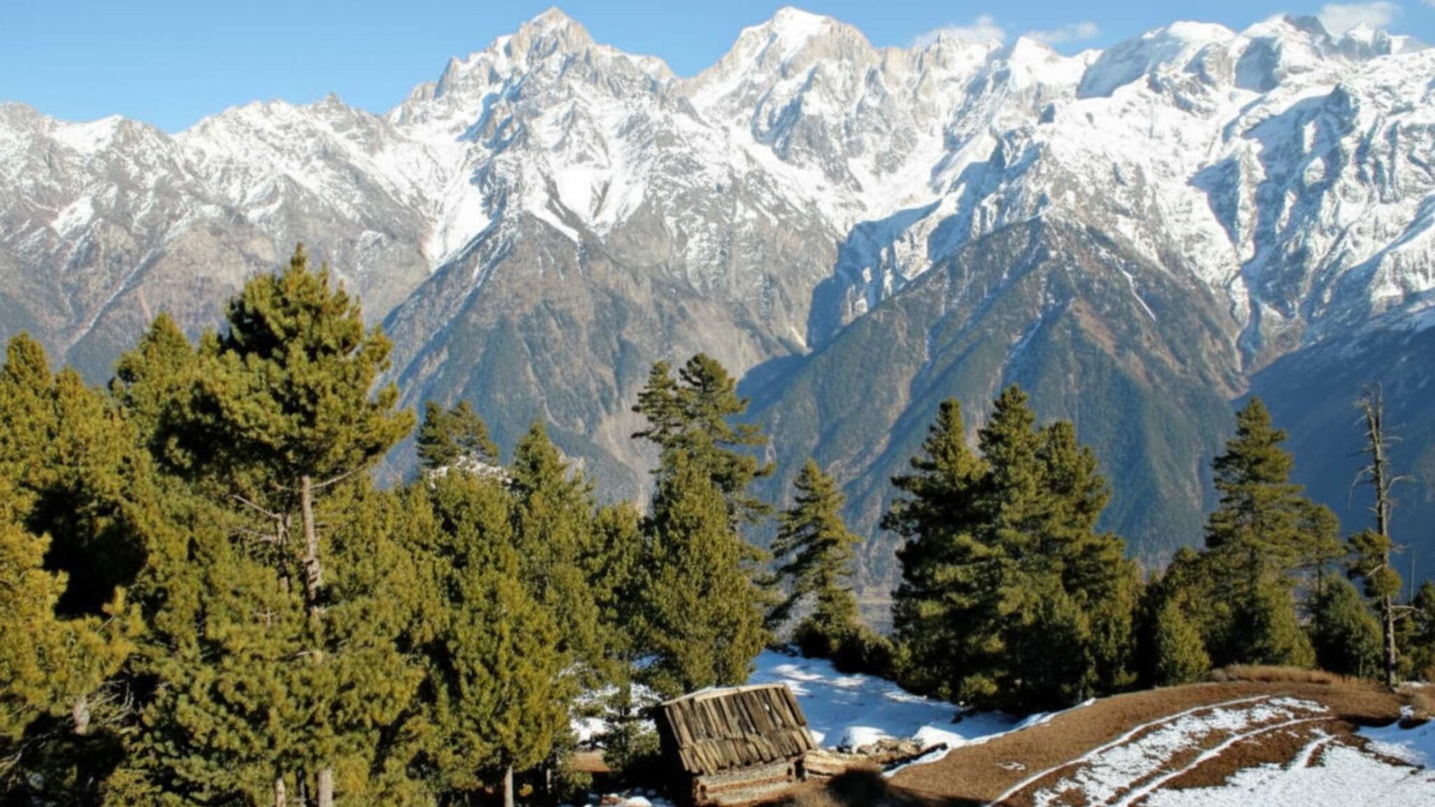15 Best Places to Visit in Kalpa 2026: Hidden Gems + Viewpoints Map