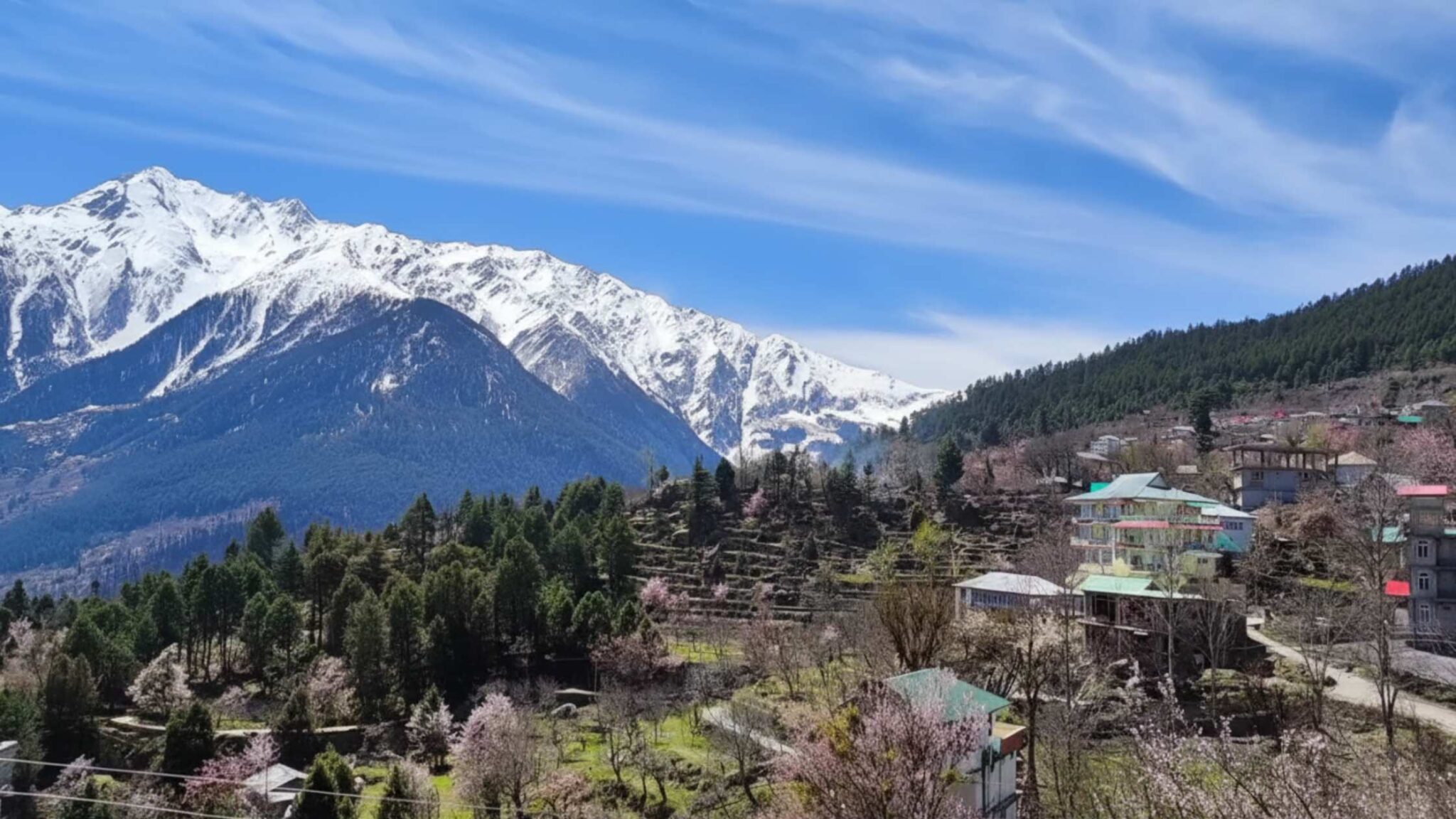 15 Best Places to Visit in Kalpa 2026: Hidden Gems + Viewpoints Map