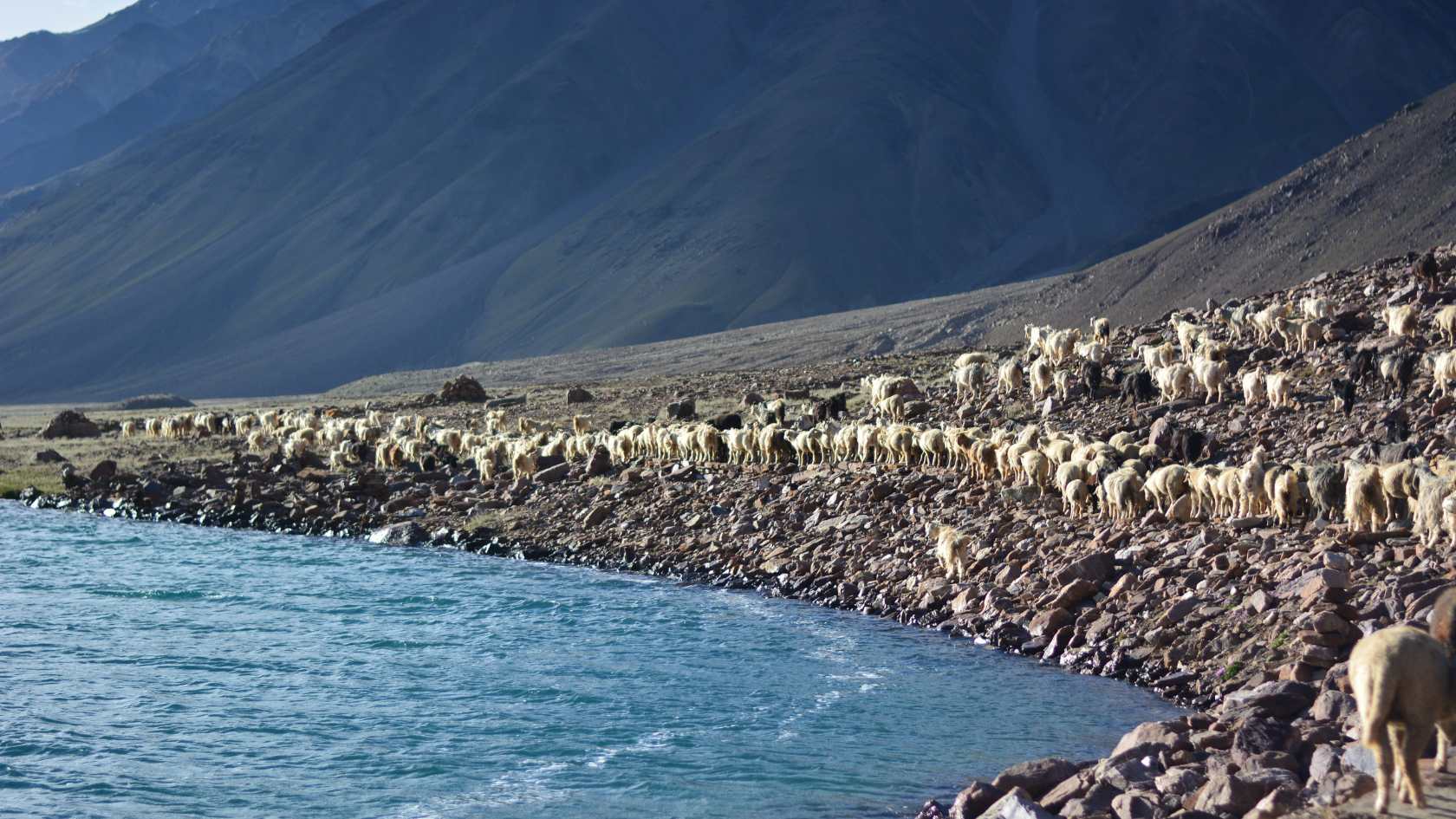 Best Time to Visit Chandratal Lake (Month-wise Guide)