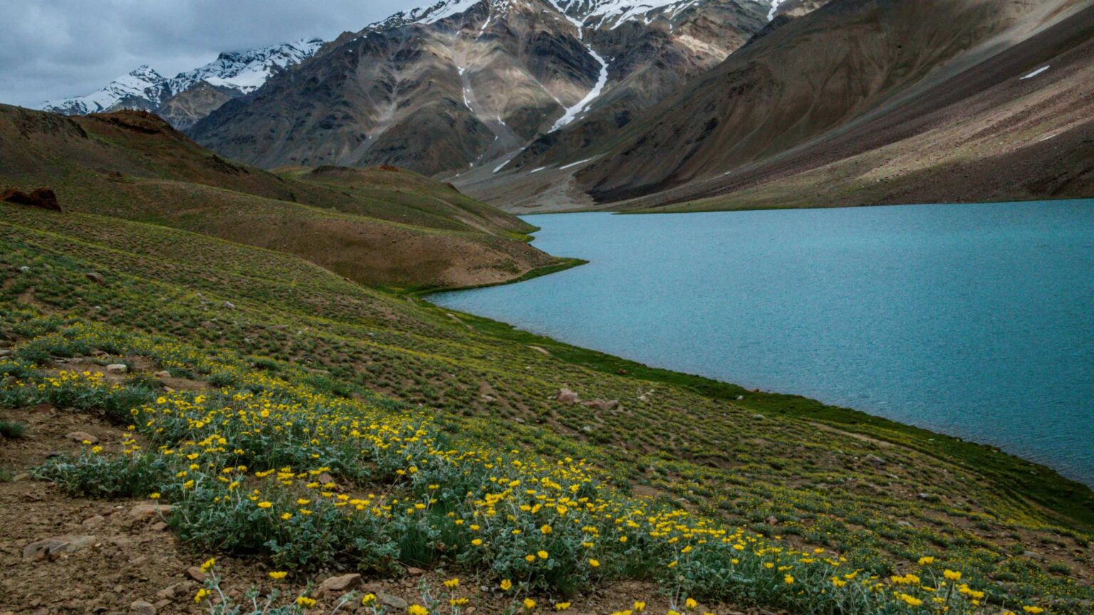 Stargazing & Astrophotography at Chandratal Lake: India’s Best Dark Sky ...